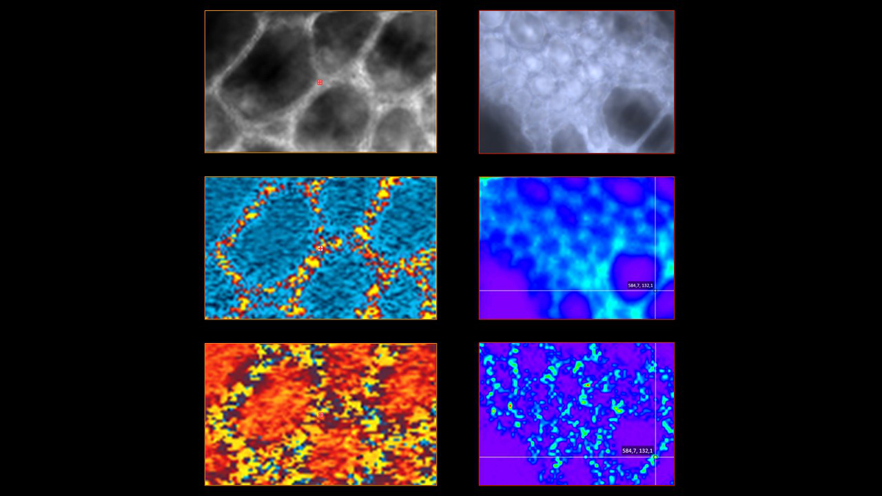 Vibrational Spectroscopy - User Licence Course, 27-31 October 2025 (2 ECTS)