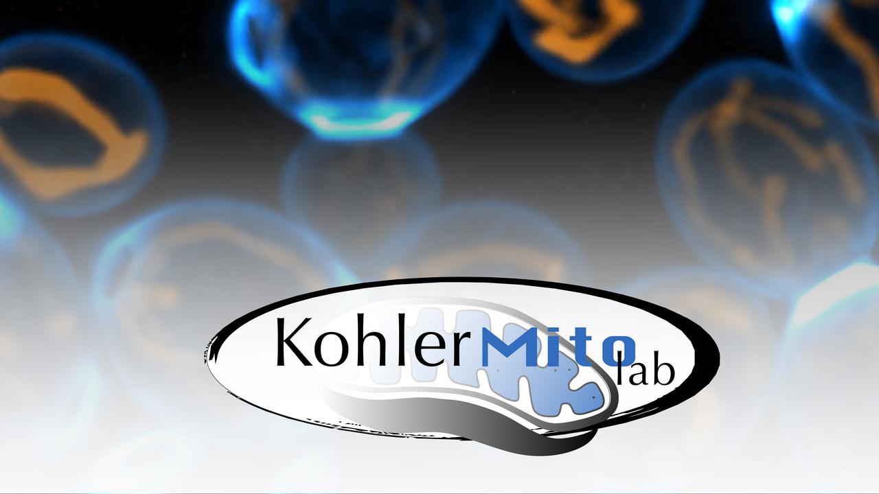Andreas Kohler Lab