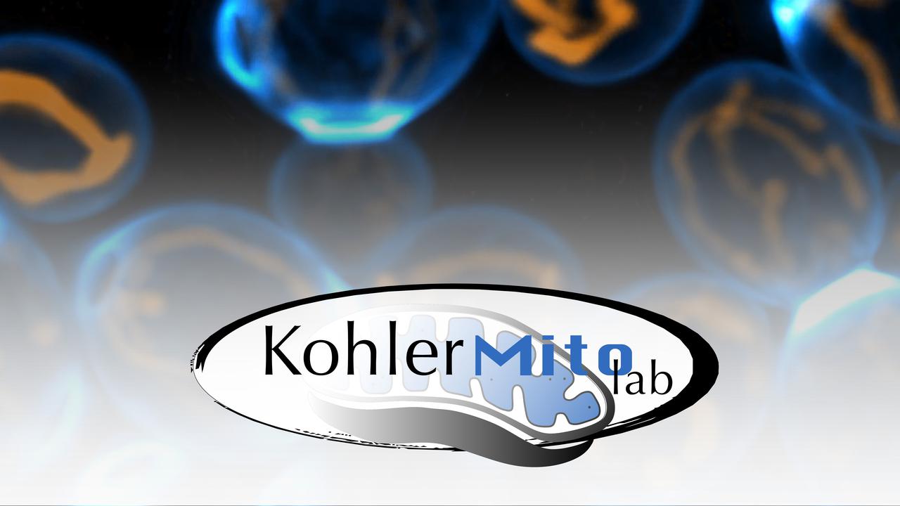 Andreas Kohler Lab