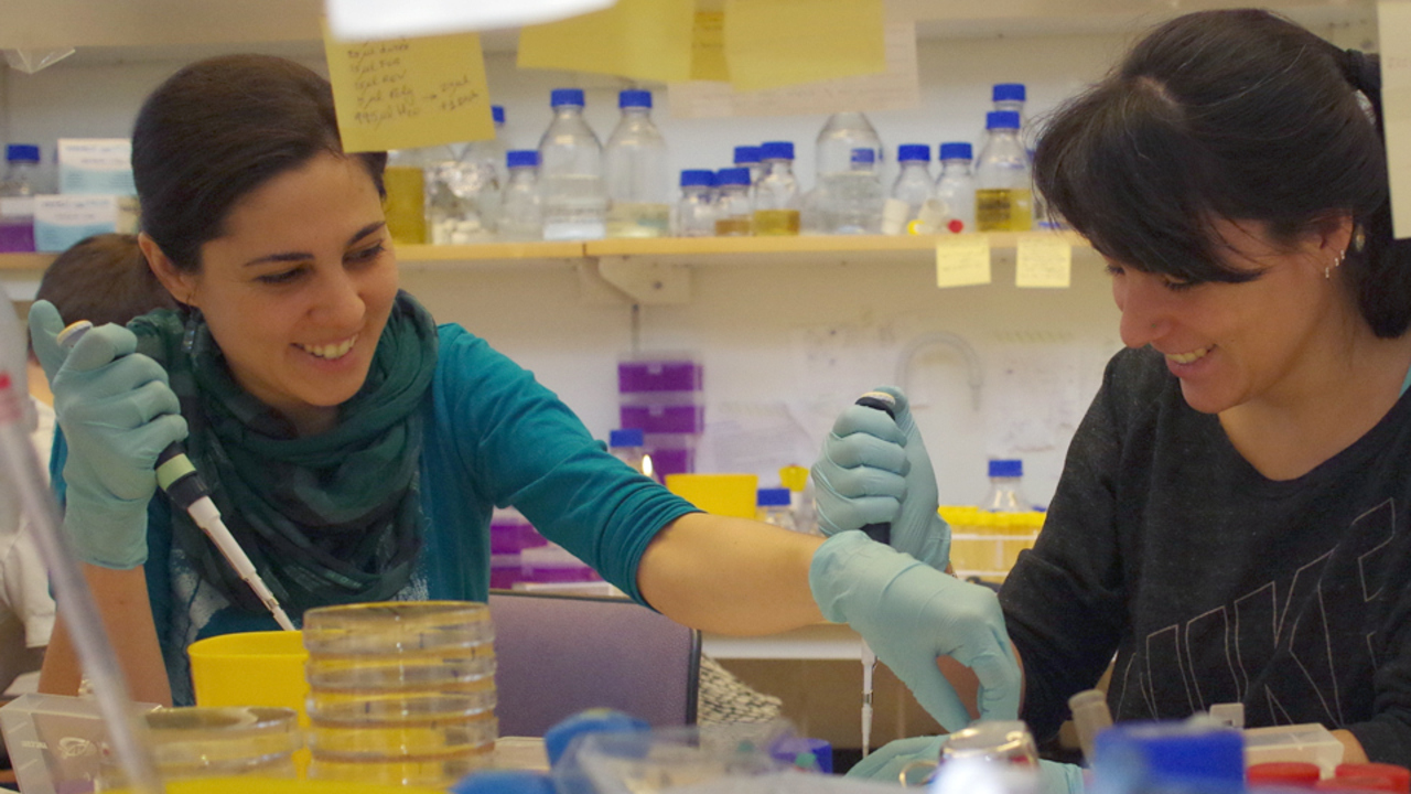 Study unveals a novel protective mechanism in bacterial cell wall
