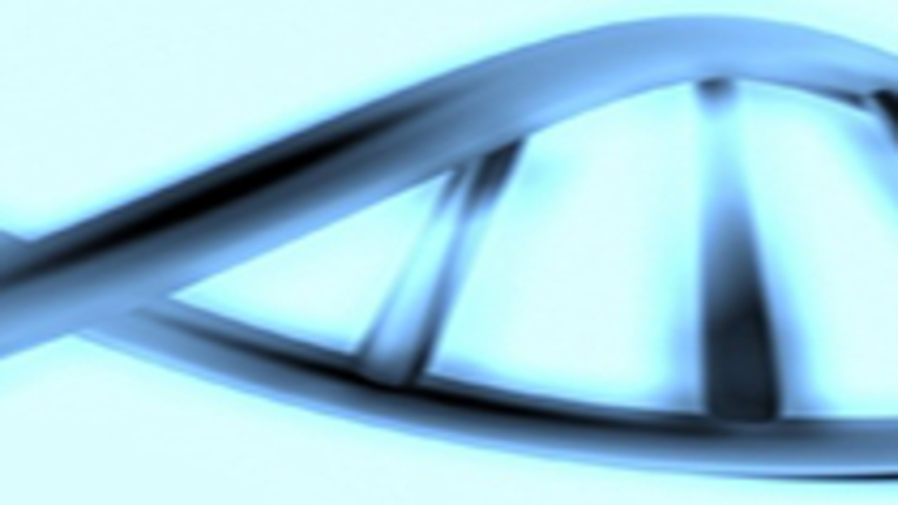 Ouppenbara relationer från världens största eDNA-dataset