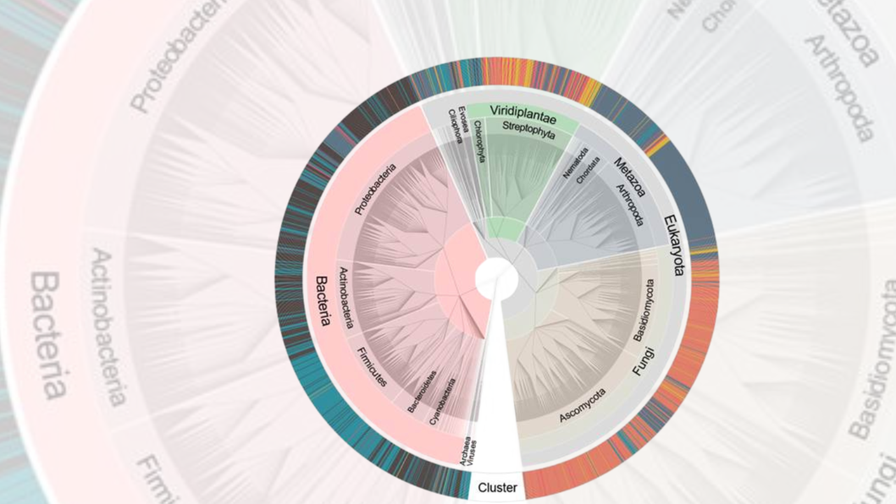 Unobvious relations from the world’s largest eDNA dataset