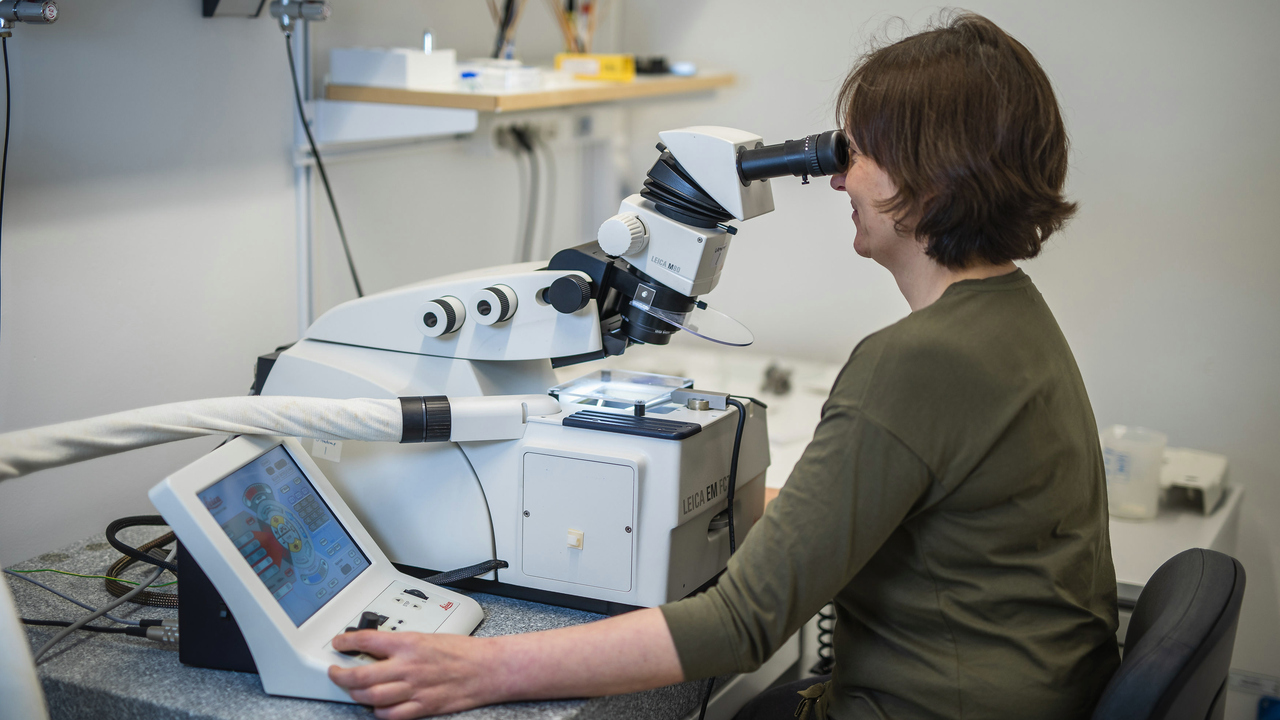 Sample preparation equipment