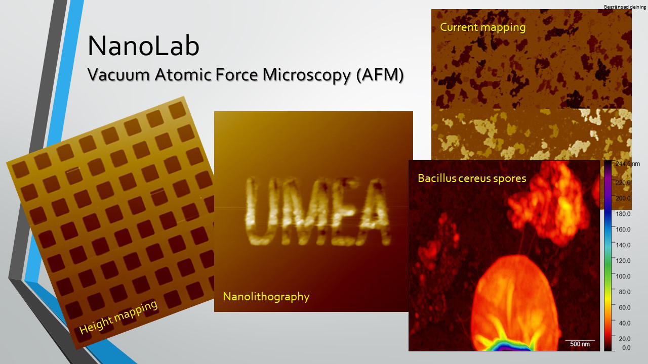 Atomic Force Microscopy (AFM) (1.5 ECTS), 12-16 December 2024