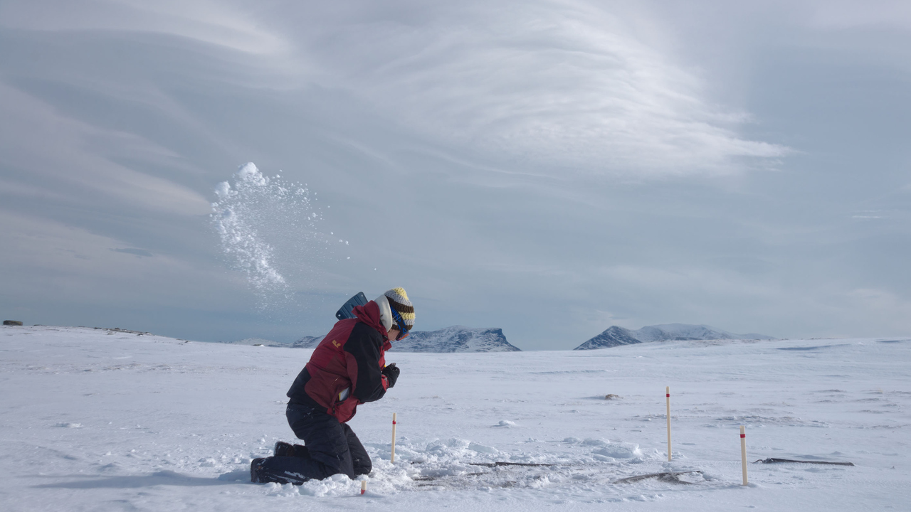 Sweden Invests in Arctic and Polar Research: New Opportunities for ...