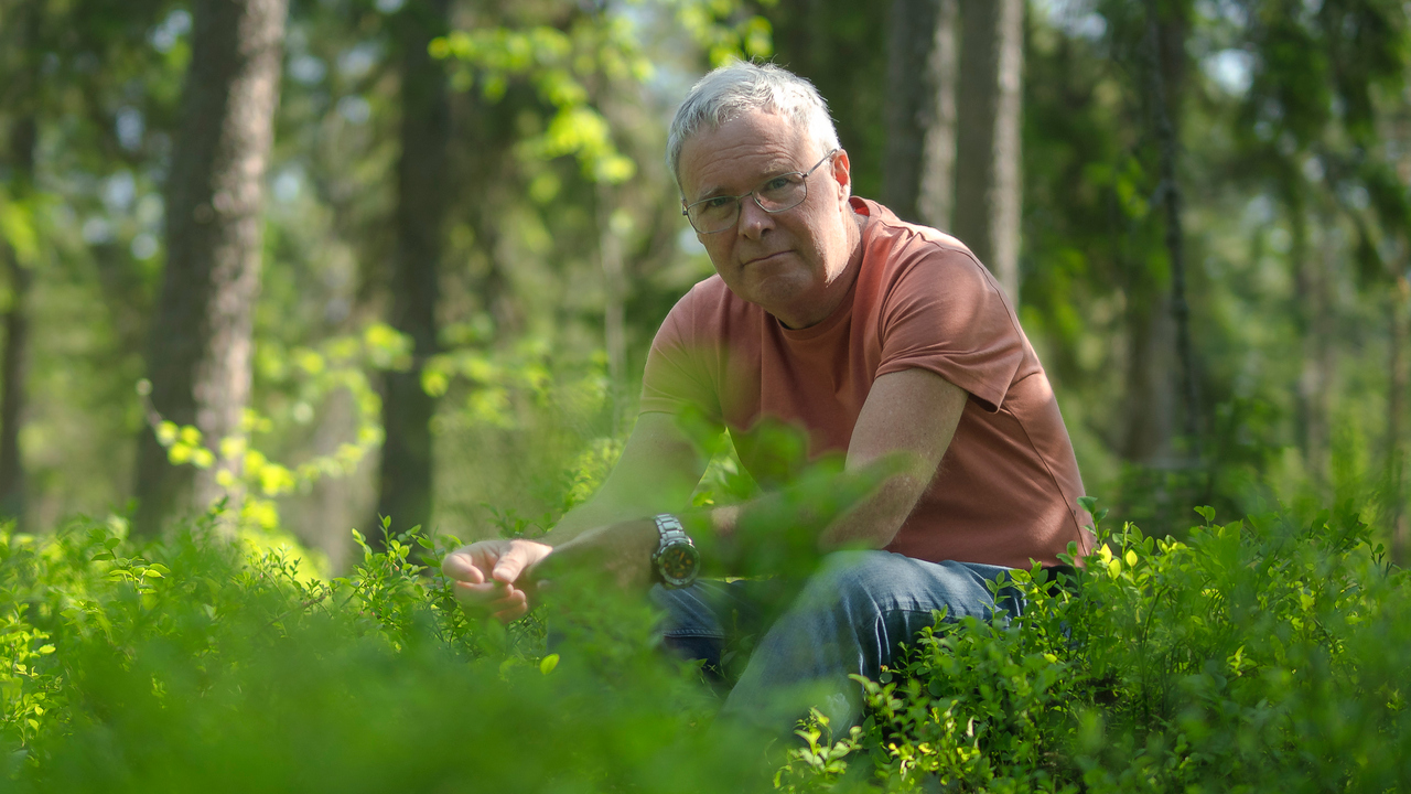 David Wardle on the list of the world's most cited researchers