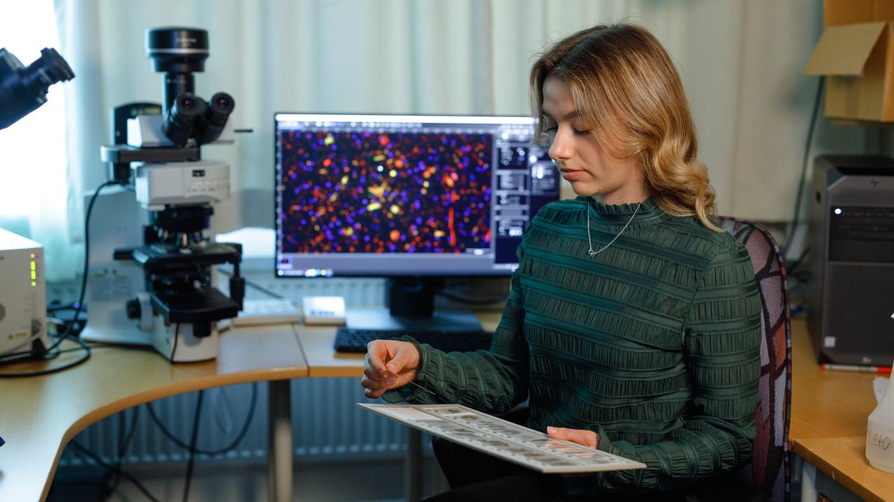 Model for strategic research initiatives introduced – focus on EU ...