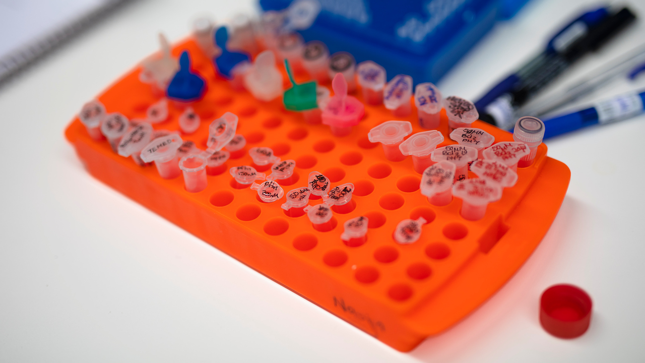 Bachelor/master projects