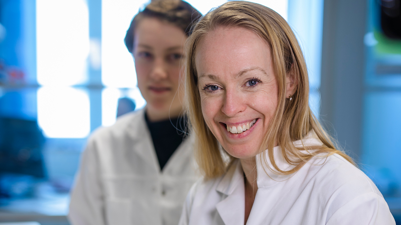 Insamlingsstiftelsen för medicinsk forskning och övriga stiftelser