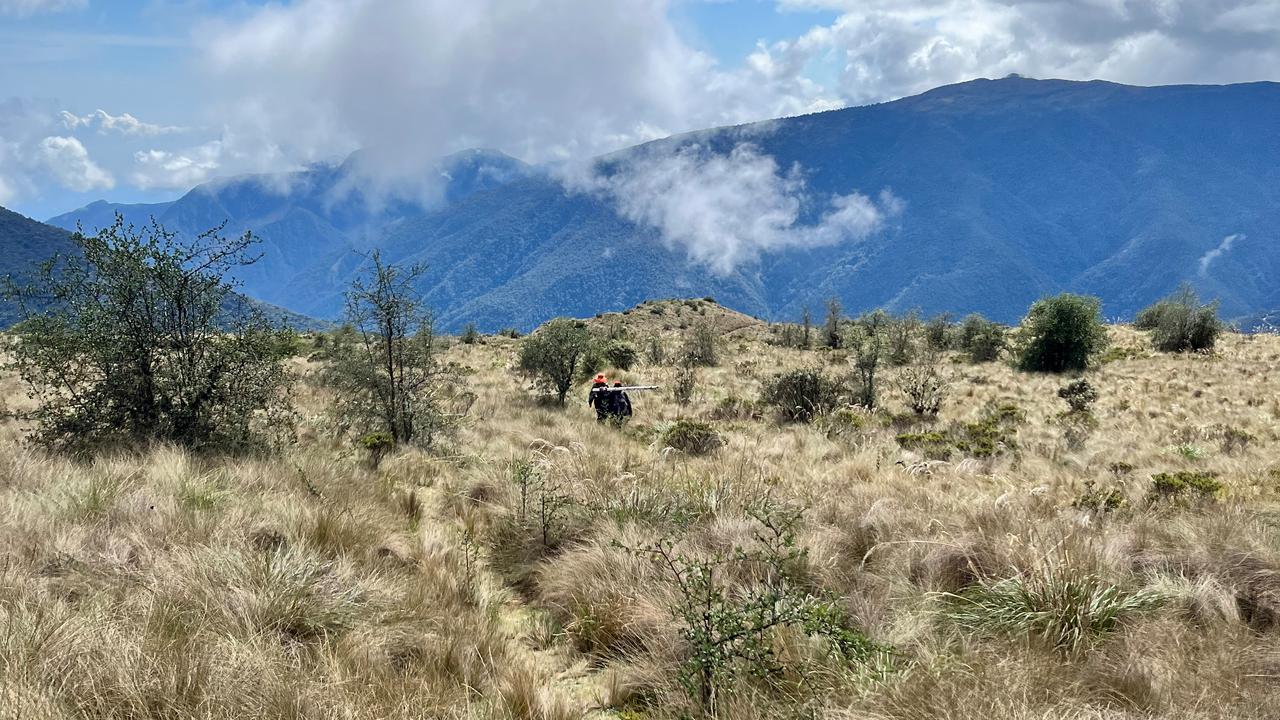 Large parts of the tropics overlooked in environmental research