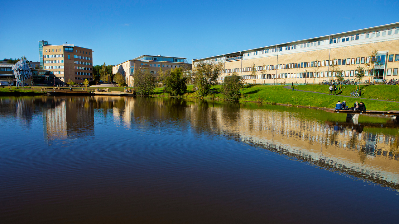 Umeå University climbs in sustainability ranking