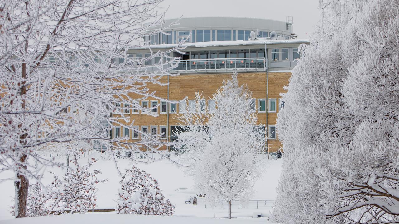 Six researchers receive Wallenberg grants for forestry-related social ...