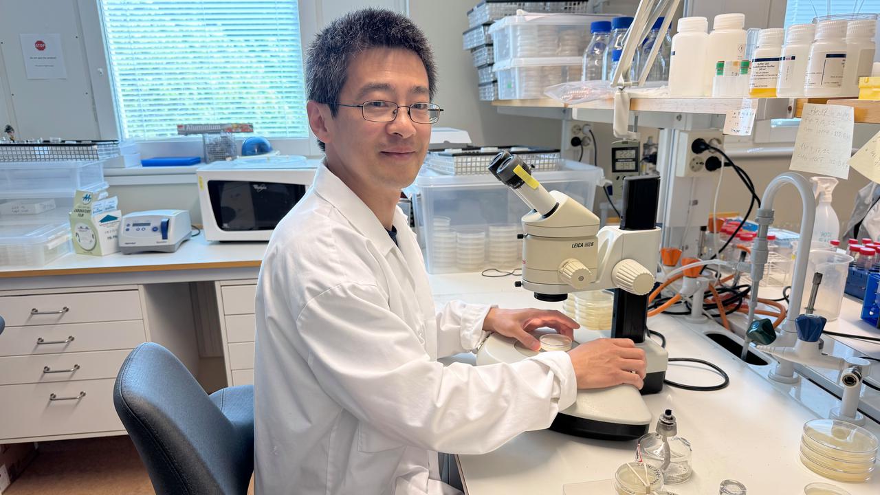 Prestigious award to Umeå molecular biologist