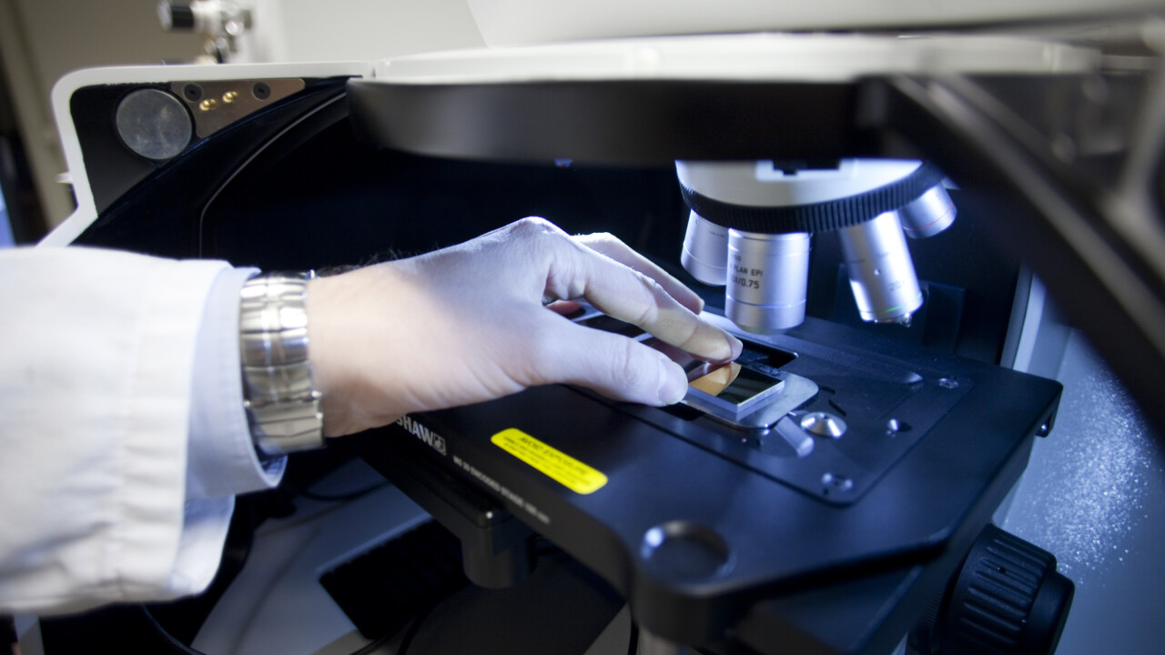 Vibrational Spectroscopy - User Licence Course, 18-22 November 2024 (2 ...