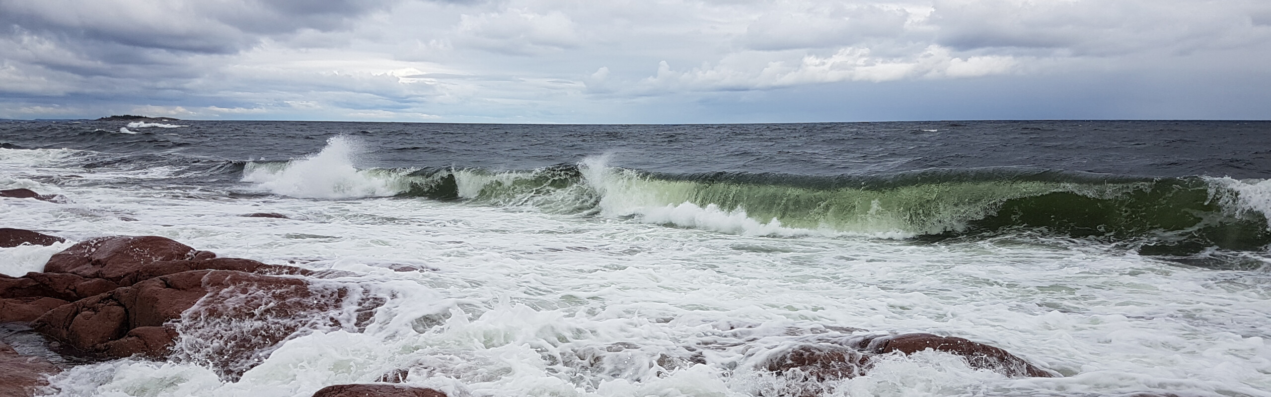 Increasing diversity in shallow coastal areas