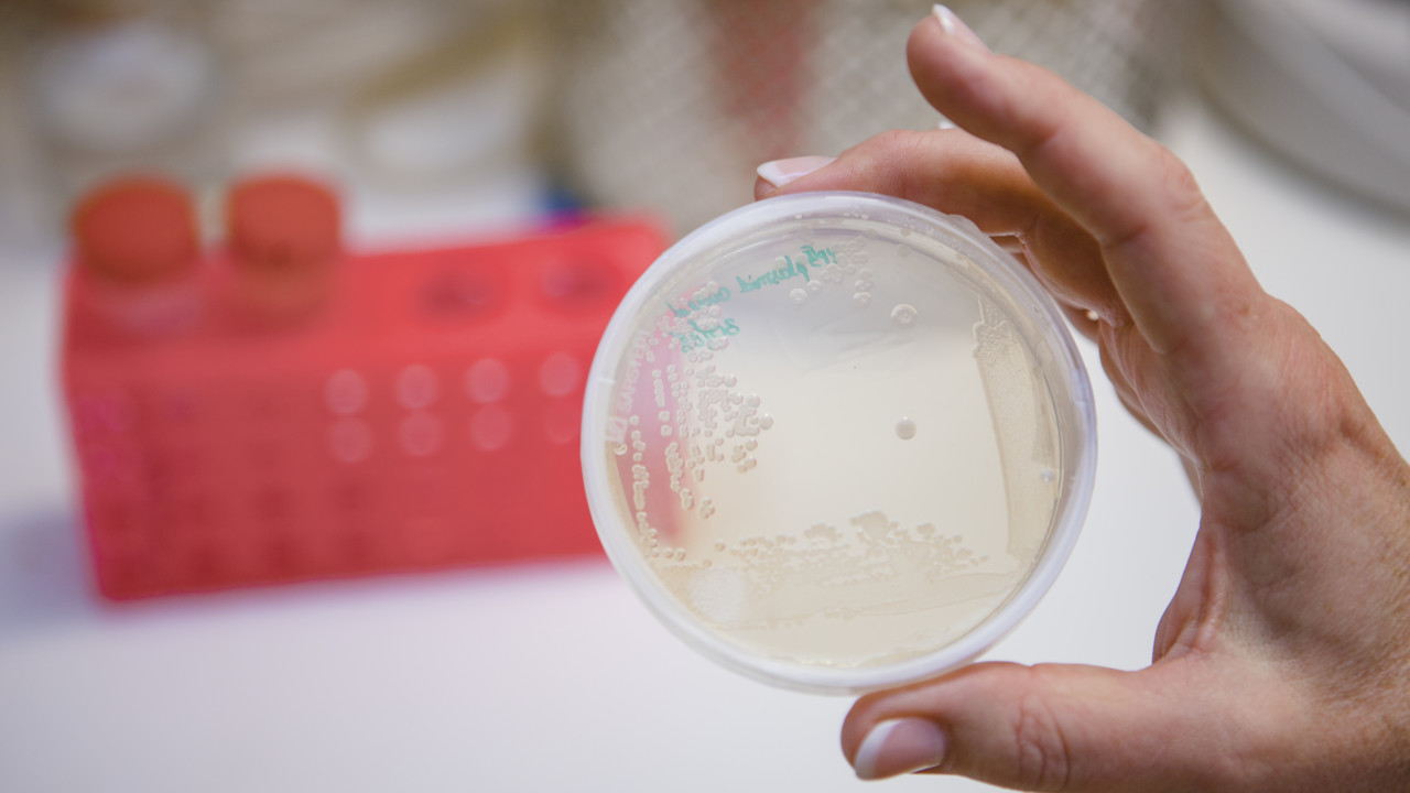 Education at the Department of Molecular Biology