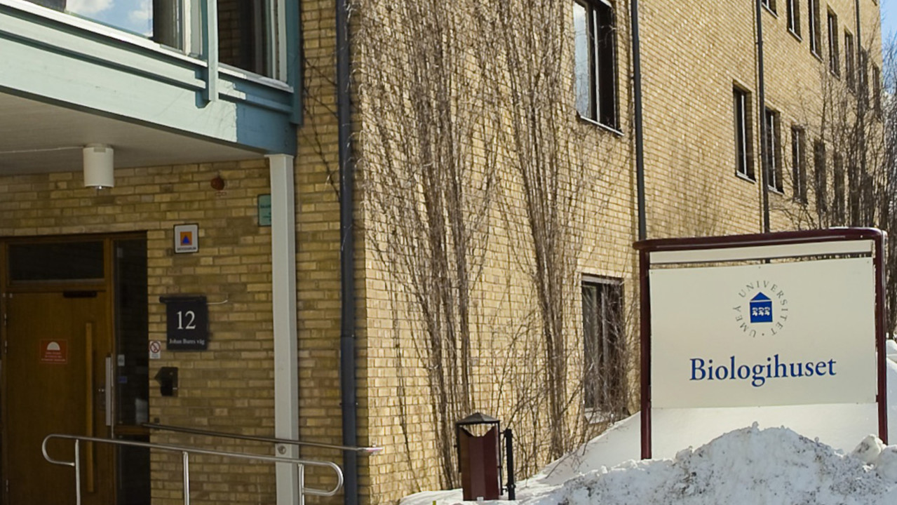 Department of Medical and Translational Biology