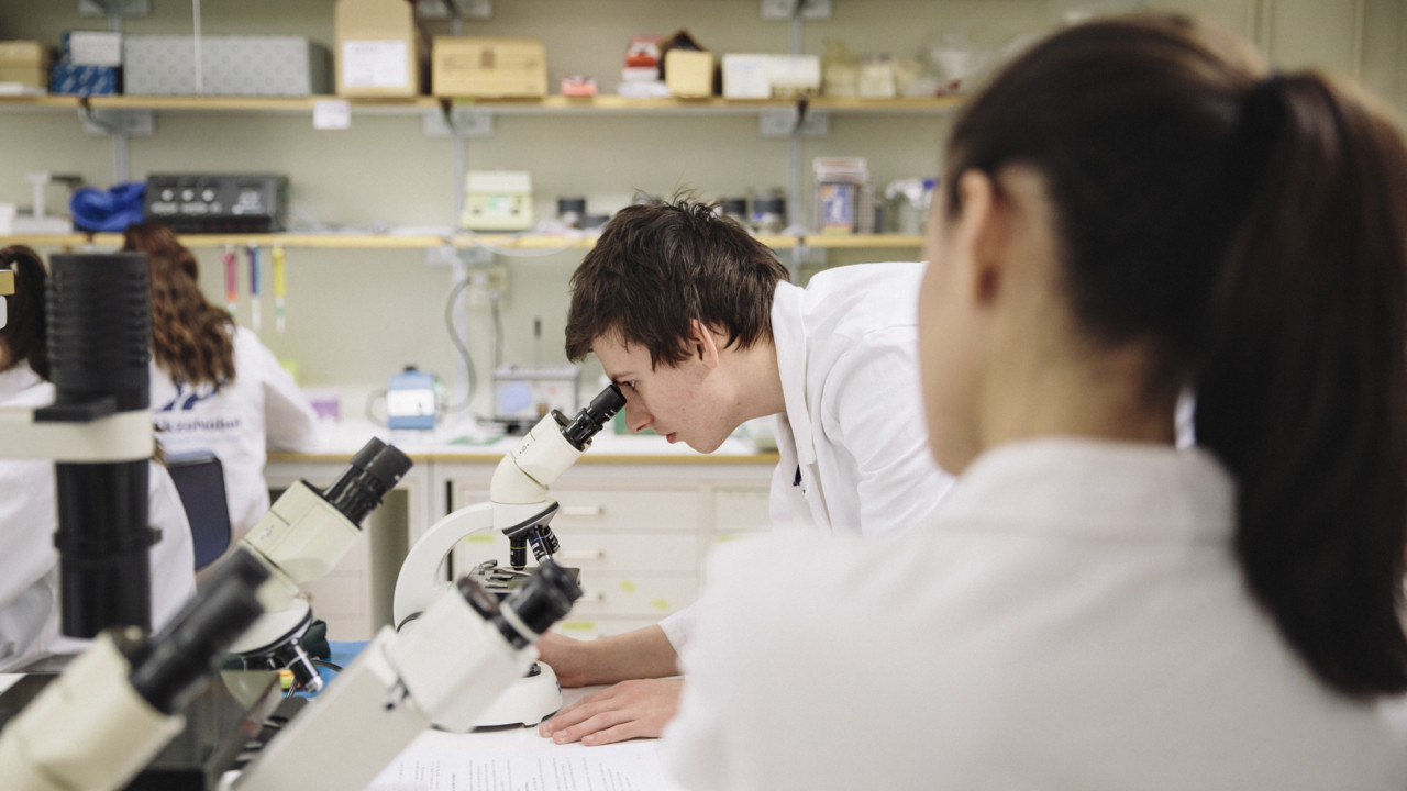 Education at the Department of Molecular Biology