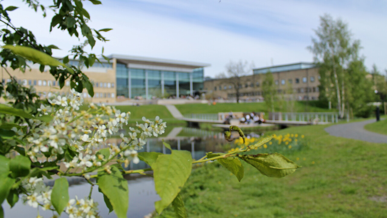 USBE Graduation 2020