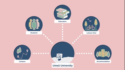 Study at Umea University