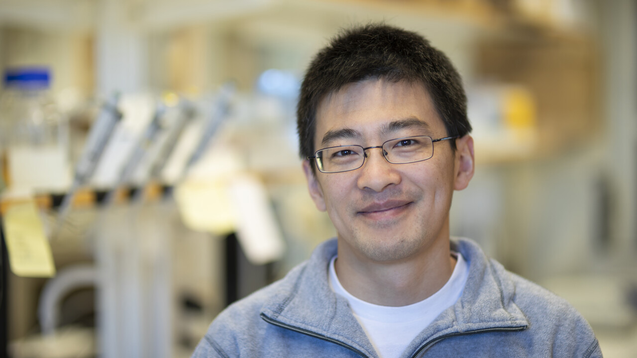 Changchun Chen lab