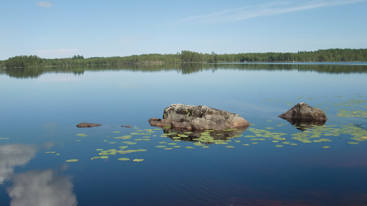 Climate researcher receives Umeå Municipality Scientific Award
