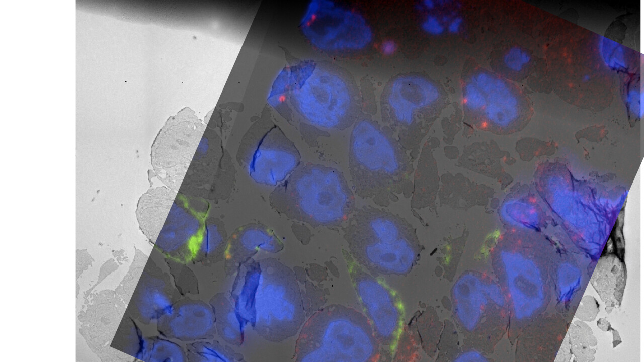 Biomolecular characterization