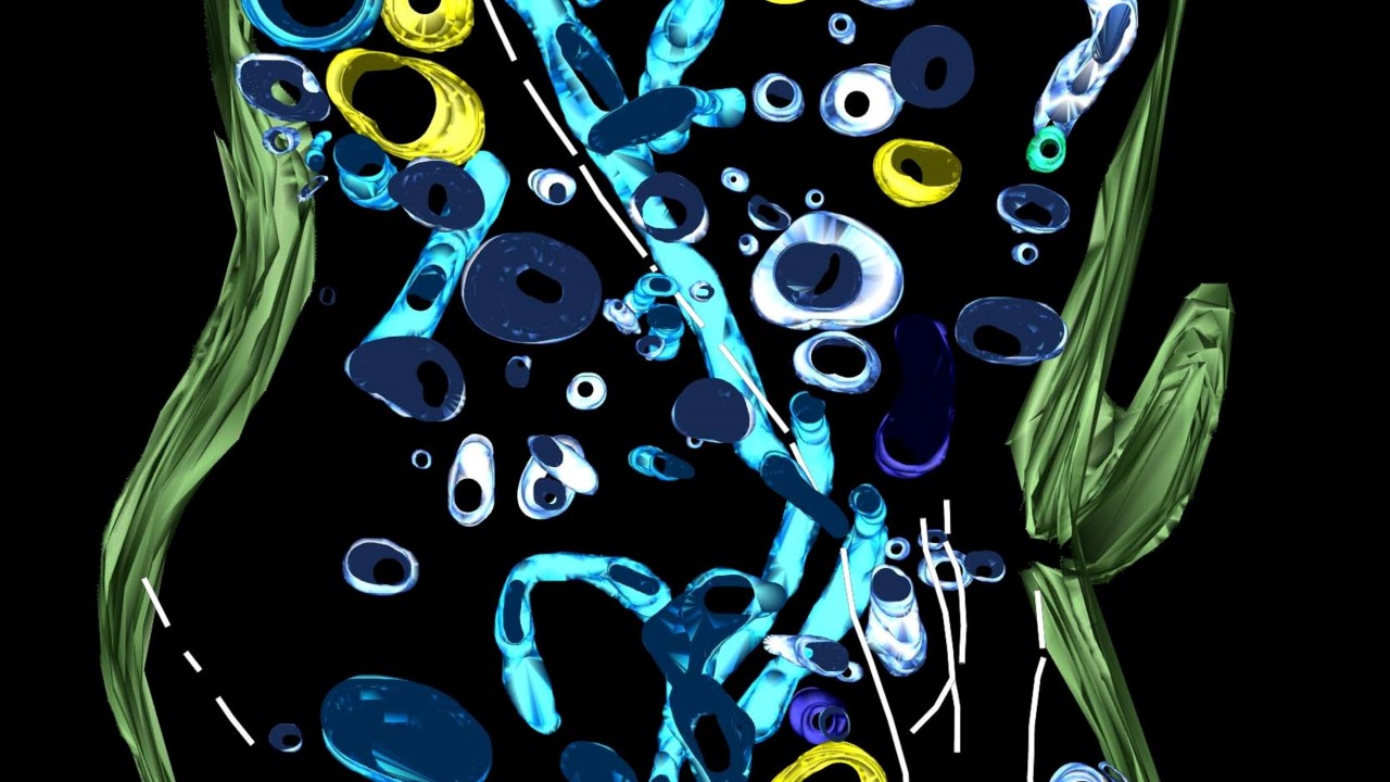 SciLifeLab Cryo-EM Course on Tomography - 1 ECTS