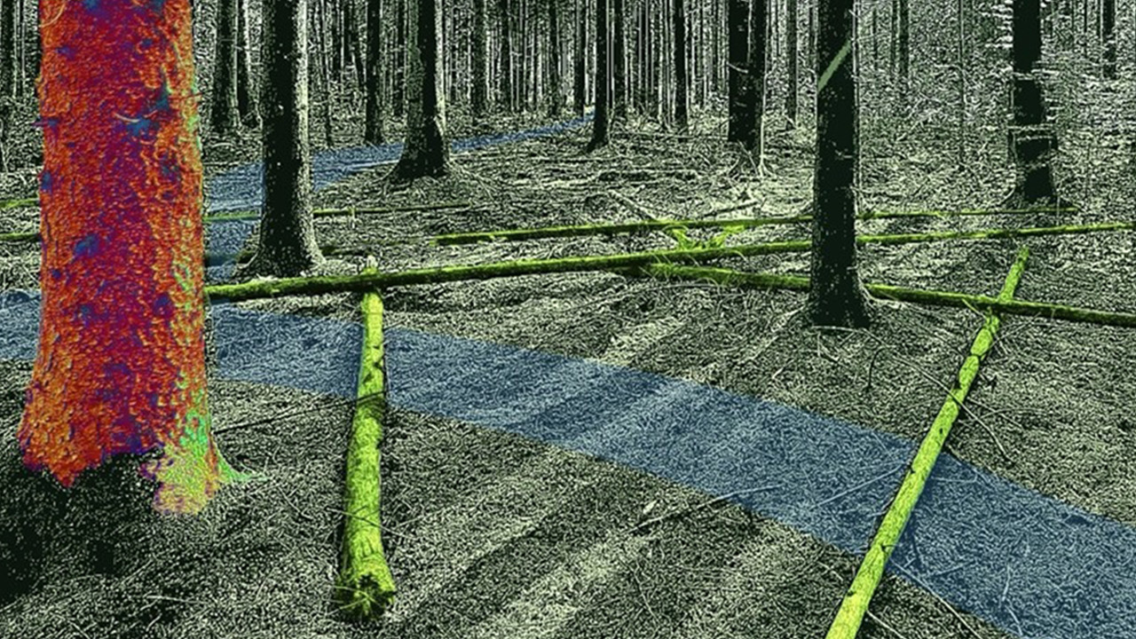 Mistra Digital Forest is paving the way for robotics in the woods