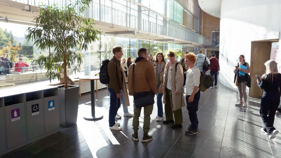 Internationella ekonomprogrammet