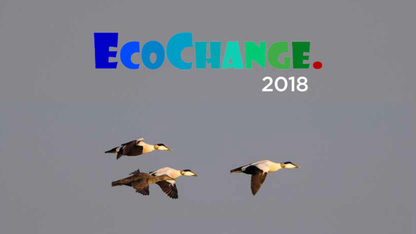 The strategic research programme EcoChange
