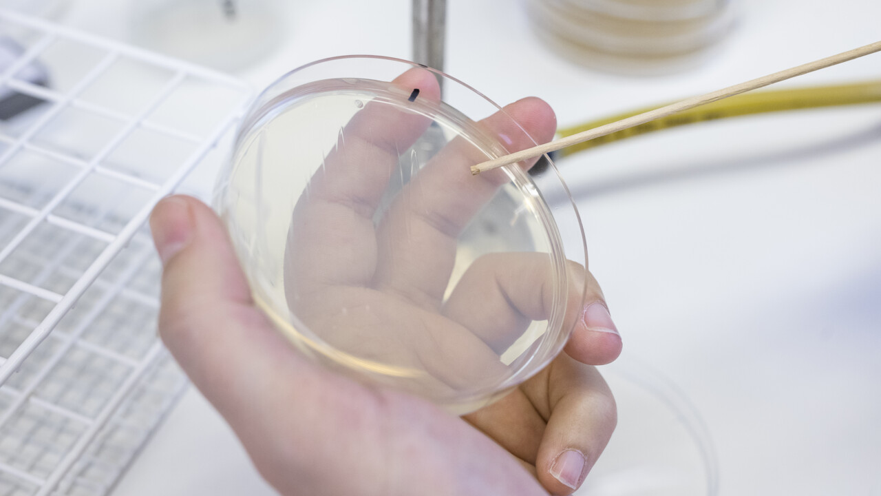 Understanding bacterial physiology and pathogenicity