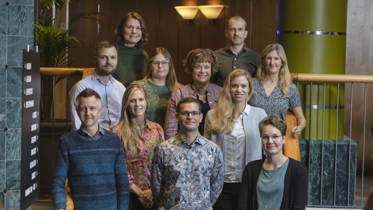 Doktorandprojekt i grupp 12