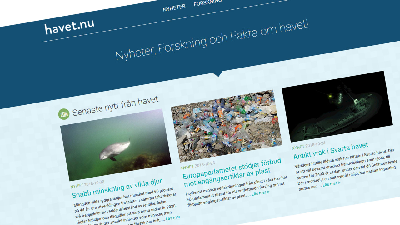 Havet.nu