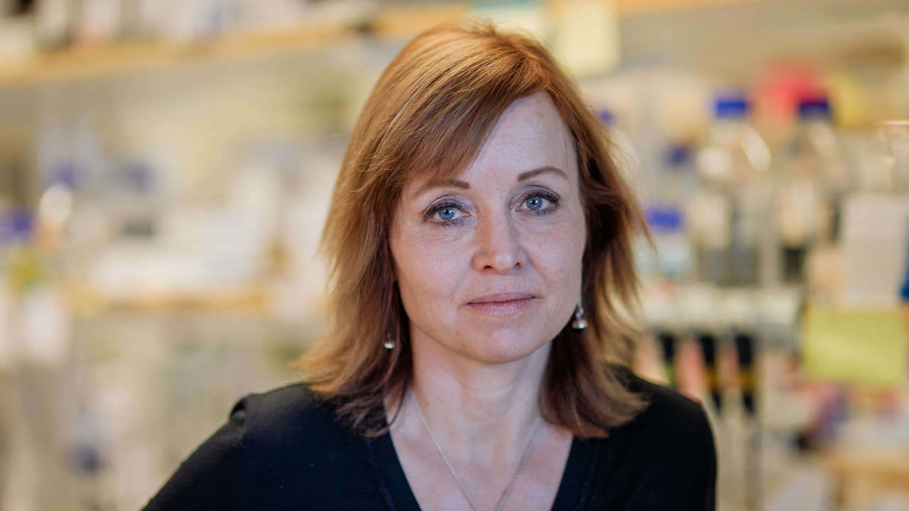 Type 2 diabetes and β-cell function