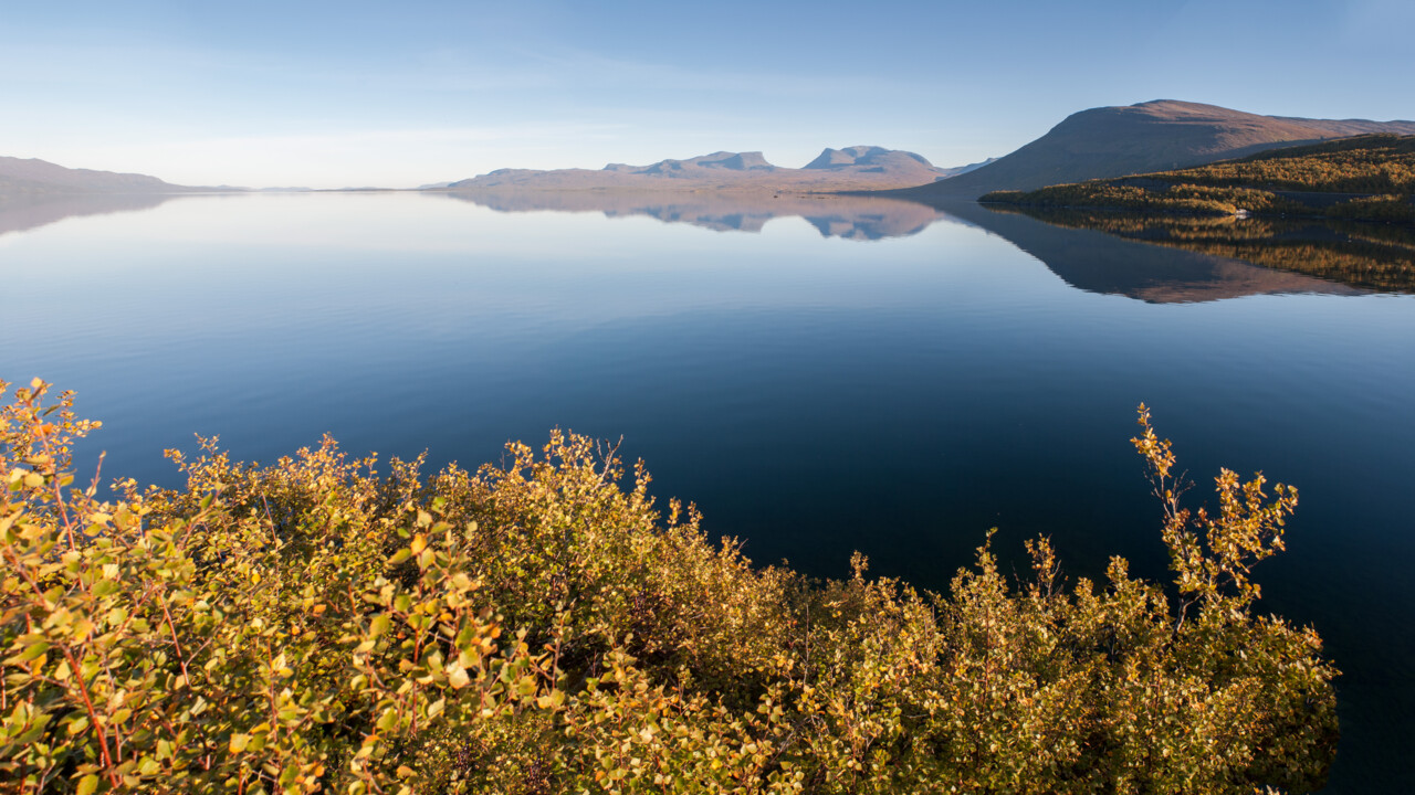 Impact of climate change on marine ecosystems in the Swedish Arctic