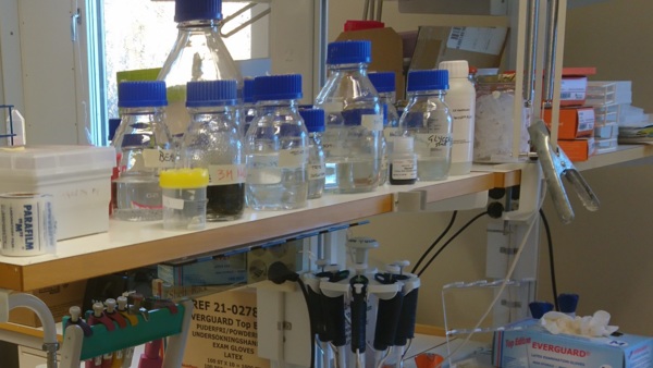 Department of Molecular Biology