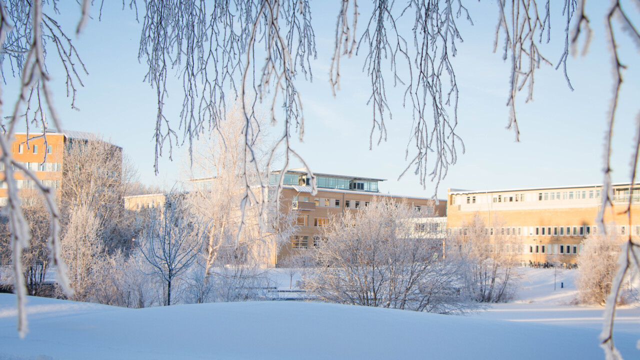 Umeå University