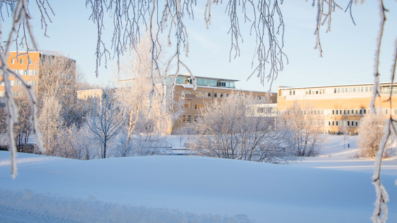Umeå universitet