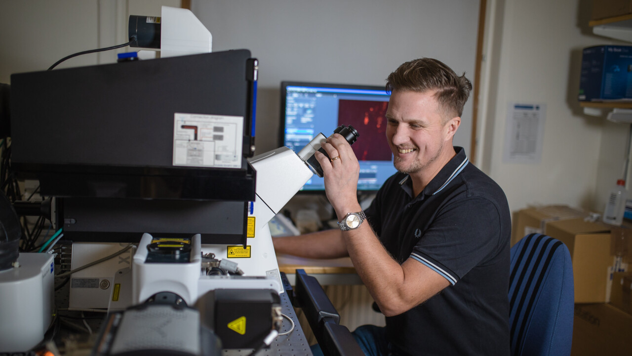 BioMolecular Characterization Umeå, BMCU