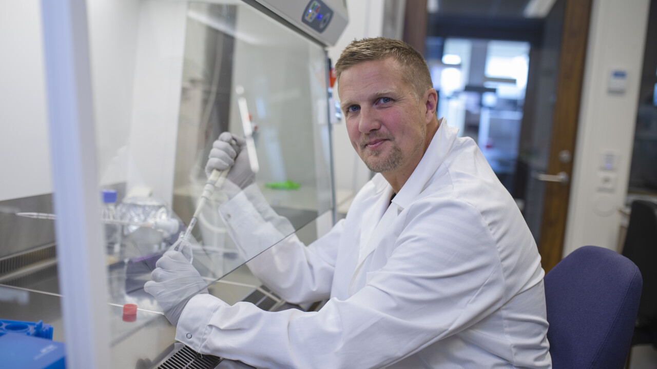 Cellens nanoarkitektur – viktig roll vid infektion och fetma