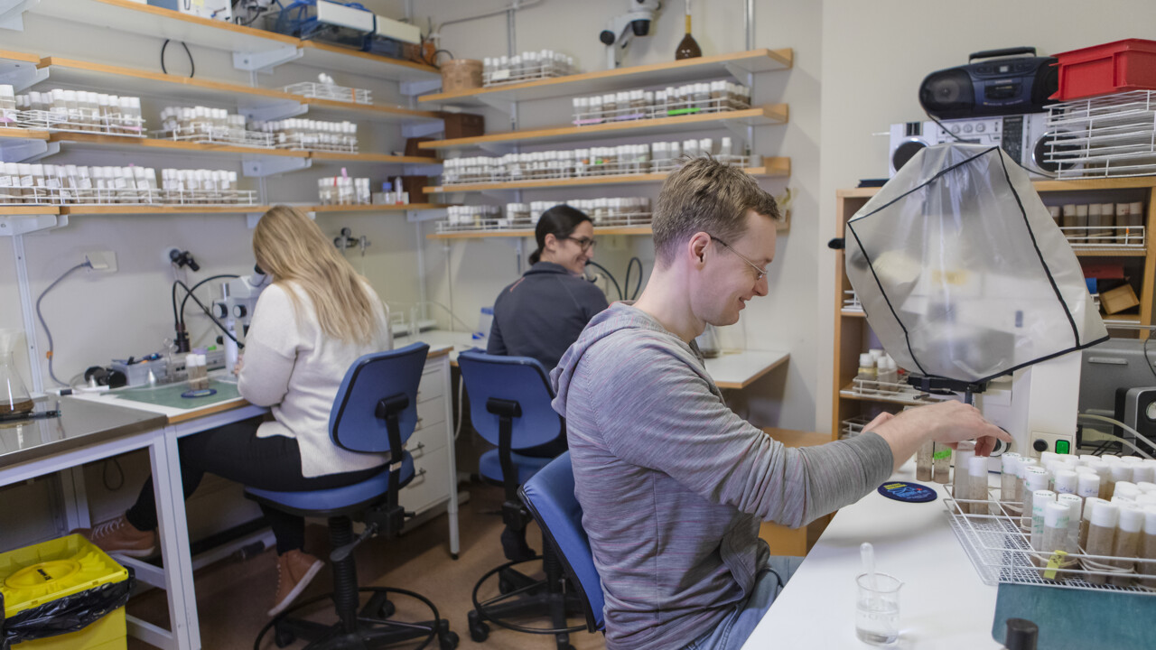 Research Groups at the Department of Molecular Biology