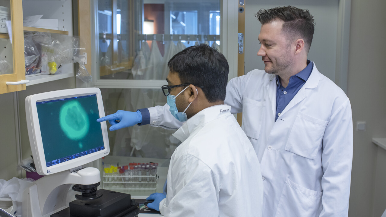 Translational cancer research