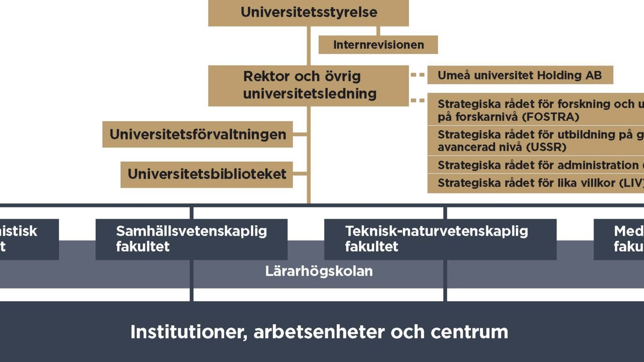 Universitetsledningen