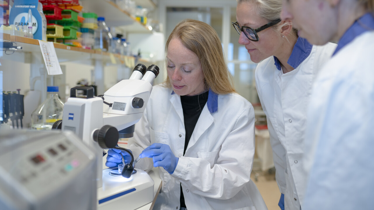 UCMR affiliated new professors lectures on the Annual Celebration