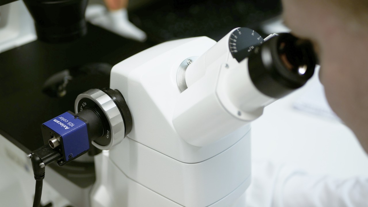 Department of Medical Biosciences