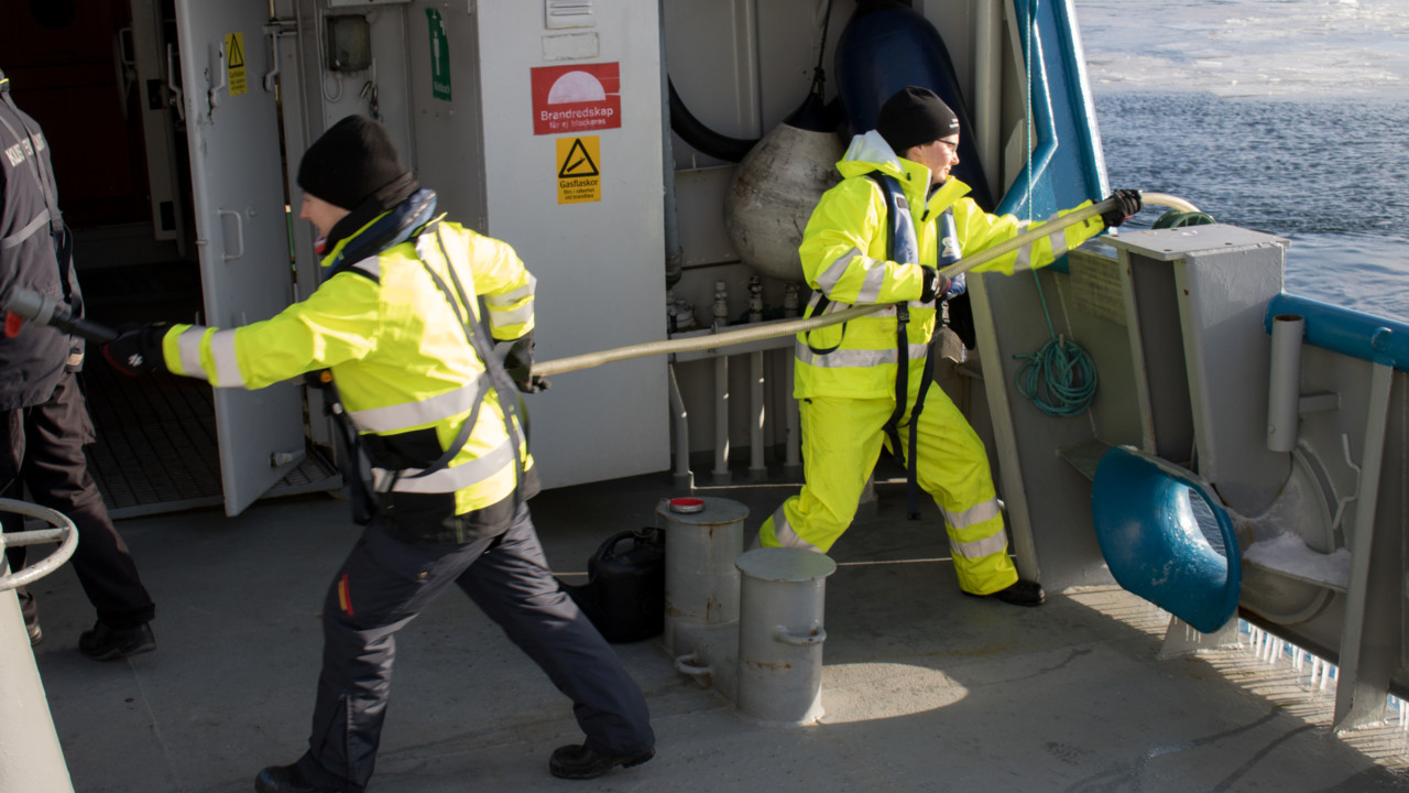 The pelagic marine monitoring program