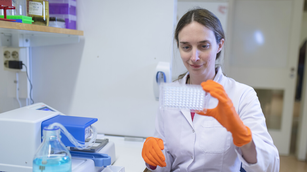 Studying the interplay between host cell and pathogen