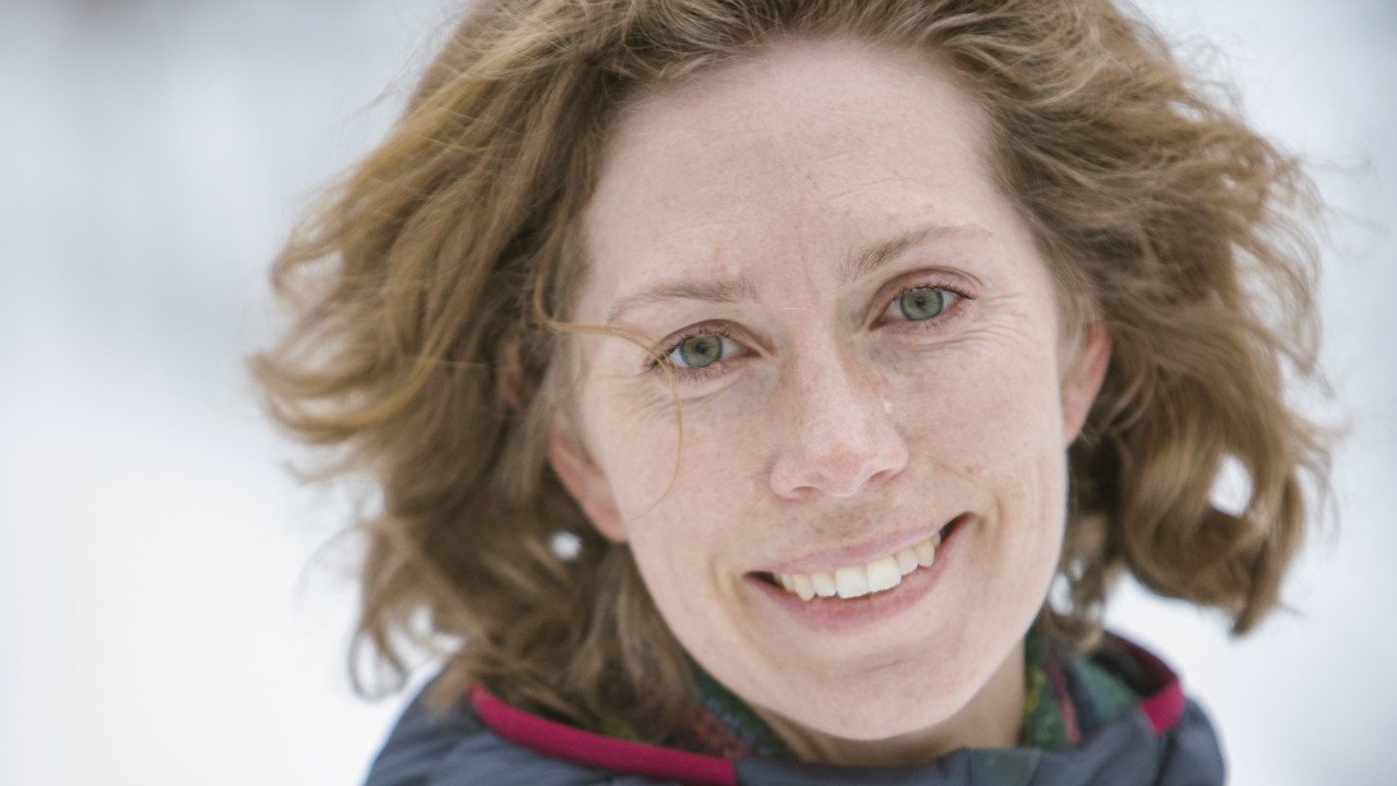 Alpina ekosystem under lupp