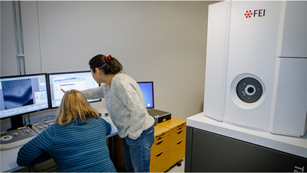 Transmission Electron Microscopy (TEM)